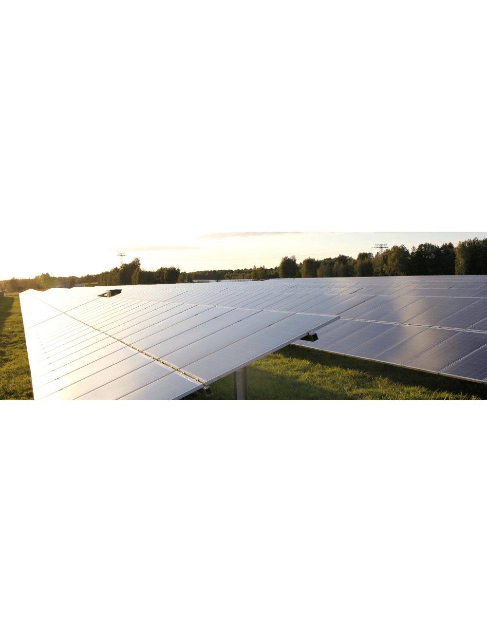 Buy I'M SOLAR® solar panel direct from manufacturer